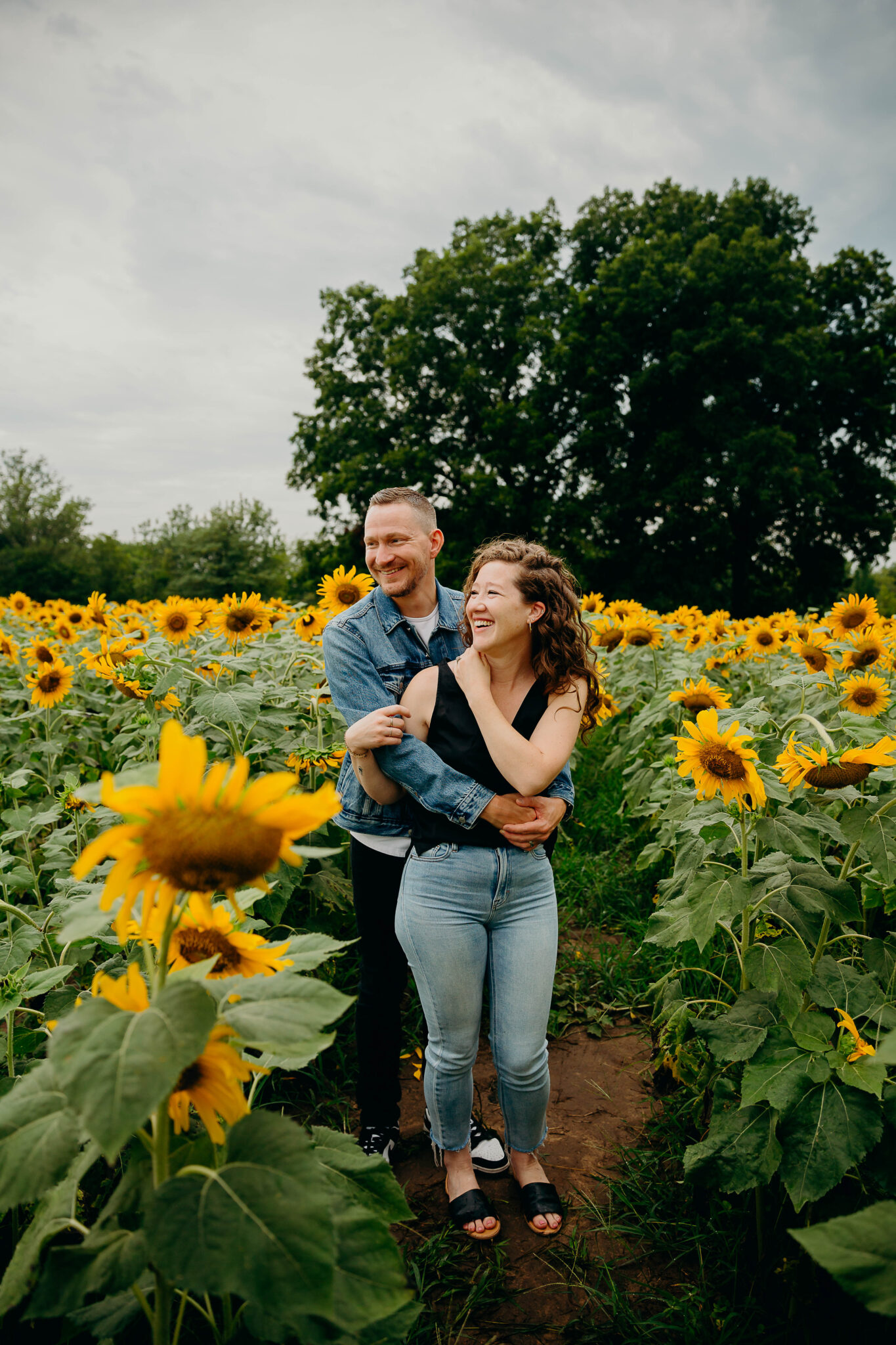 Easy Gluten-Free Graham Cracker Crust Recipe in Minutes
